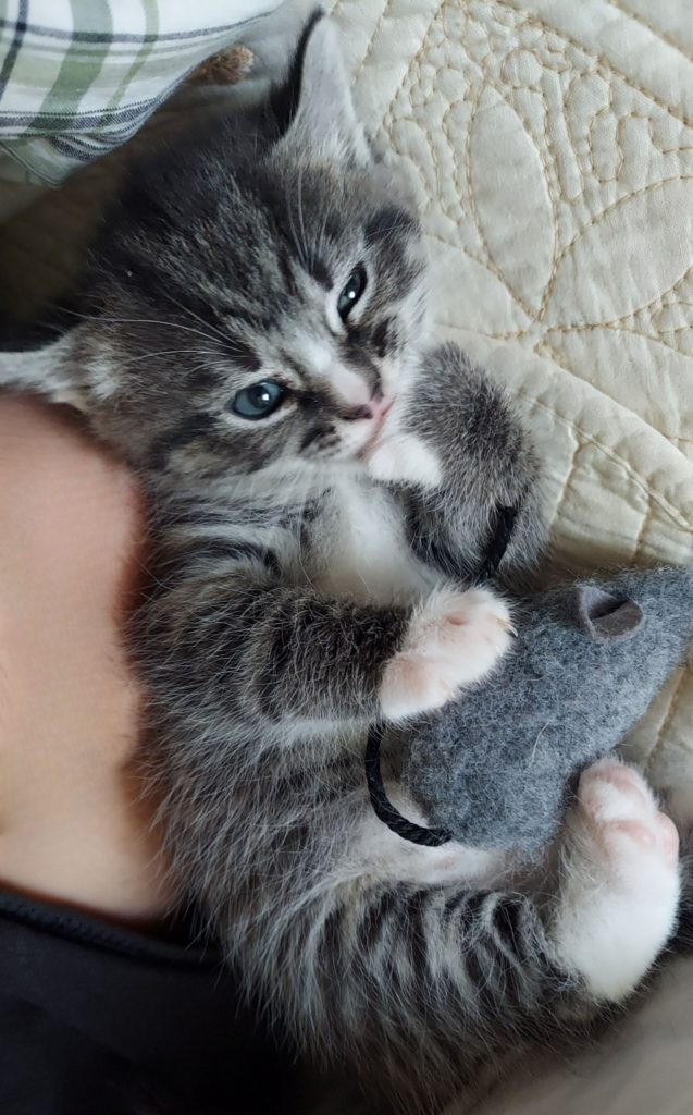 Spotlight: Asiyah Lin – OHDSI